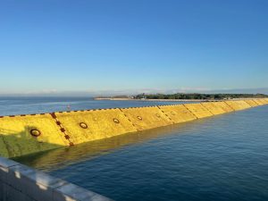 Seingim | Engineering made human